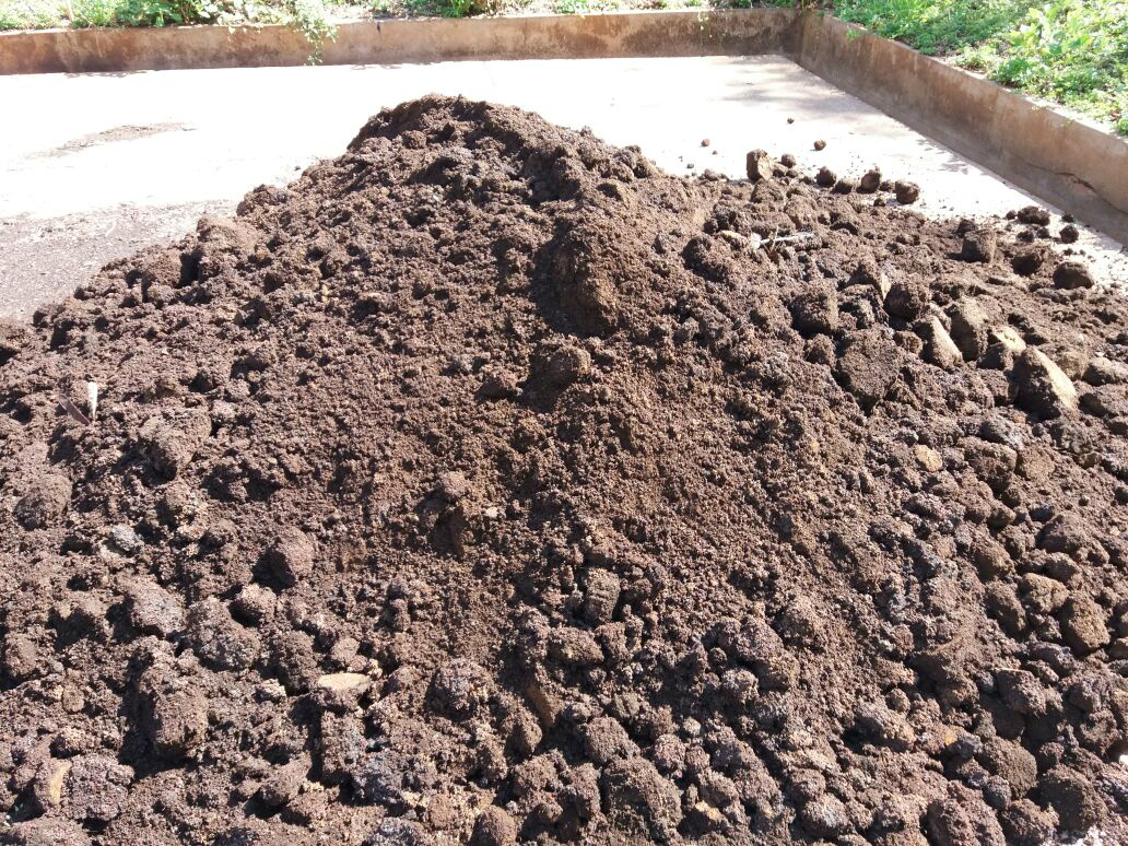 Meio Ambiente quer aproveitar lodo de esgoto como adubo - Prefeitura ...