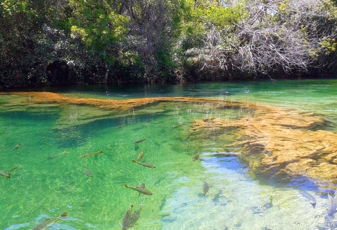Bonito integra o Mapa de Turismo Brasileiro 2019-2021 - Prefeitura ...